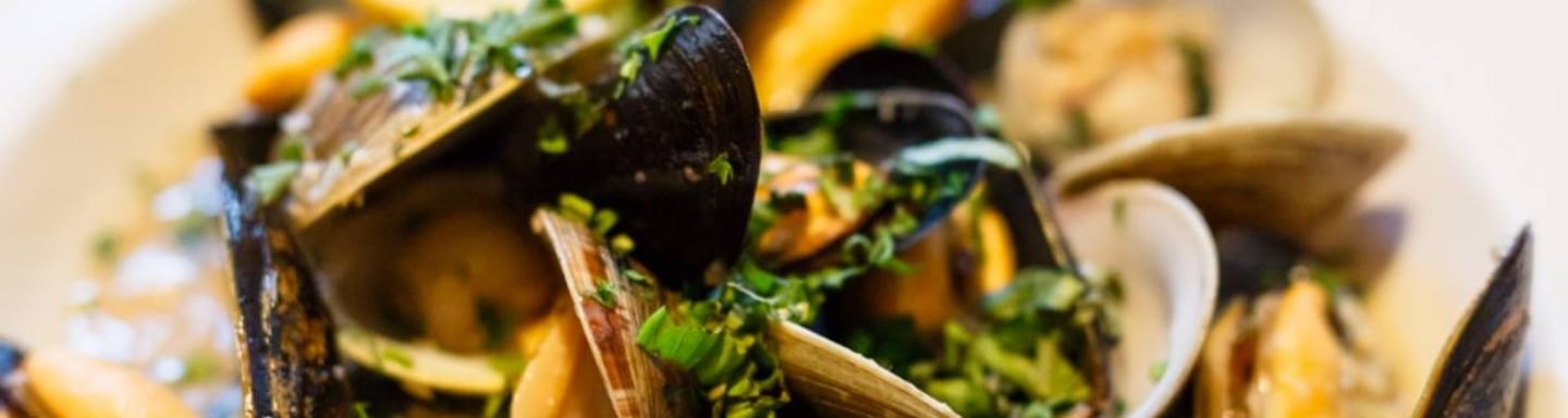 Mozaic | Best Mediterranean Food in Santa Cruz