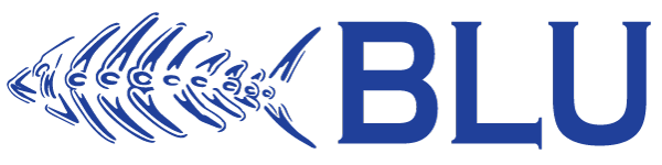 Best Seafood in Bentonville, AR | Blu Fish House