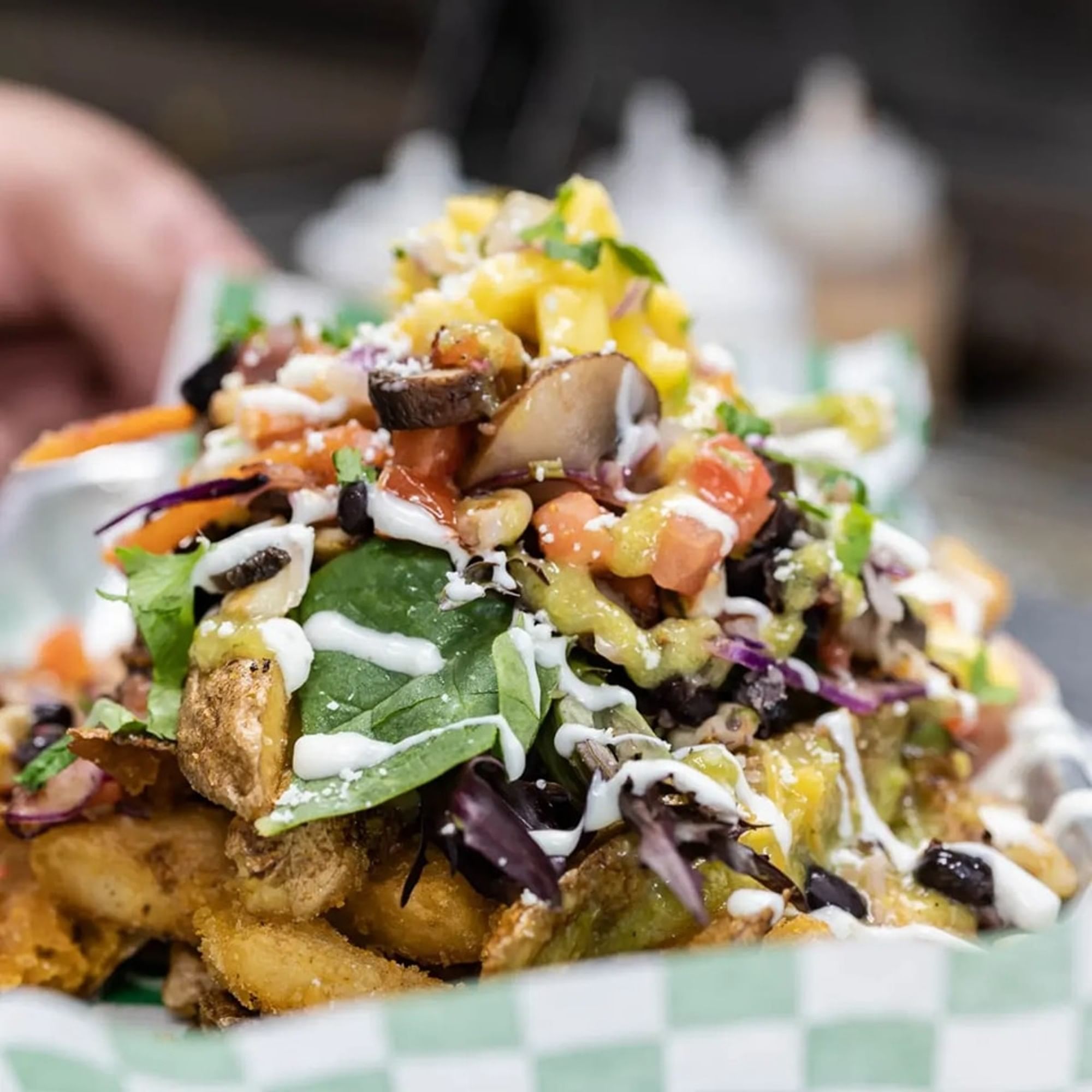 Mingo's Latin Kitchen | Best mexican food in Pearland, TX