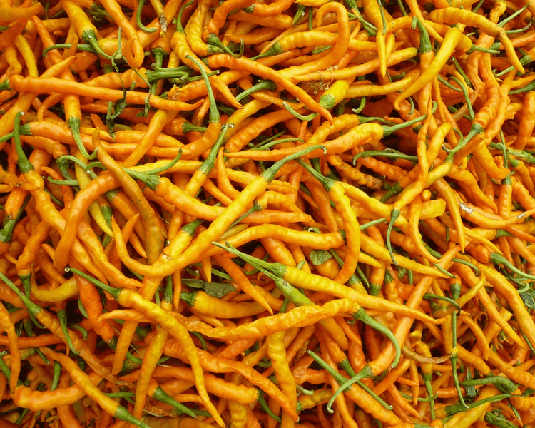 Brandy Ho's Hunan Food | Best Chinese Restaurant in San Francisco