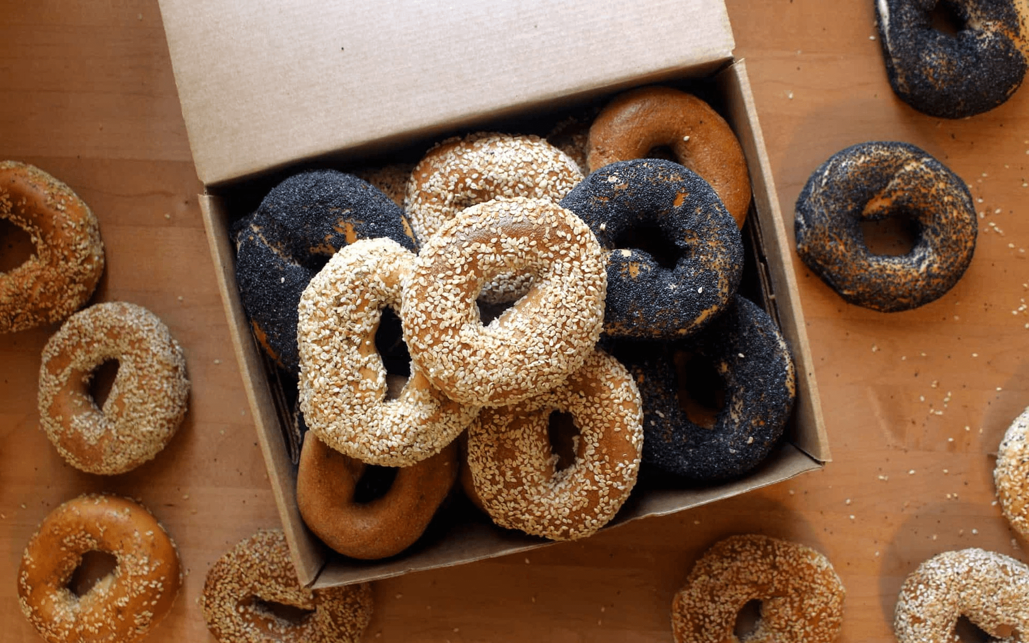 Eltana | Best Bagels in Seattle, WA