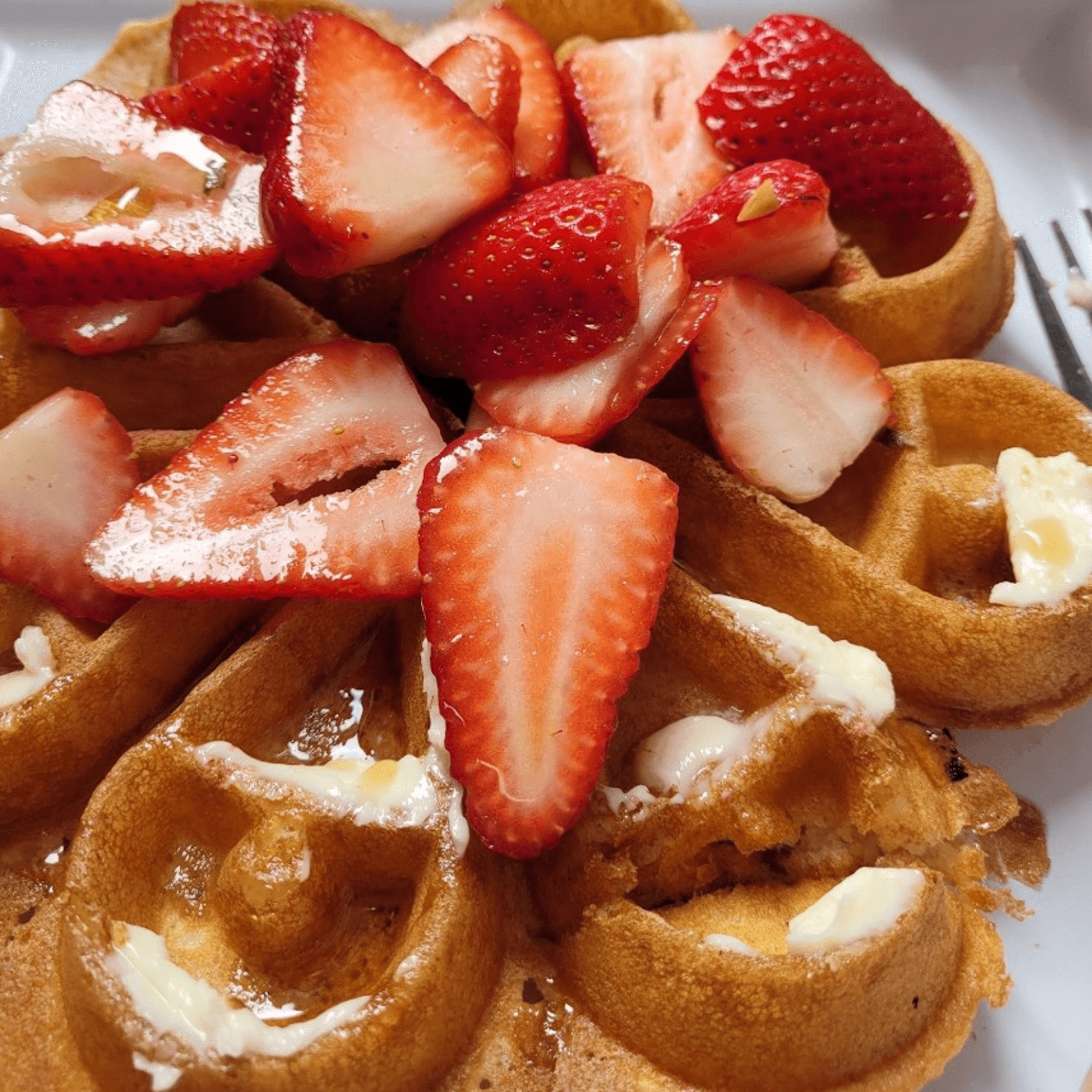 Best Breakfast in Chicago, IL | Tempo Cafe