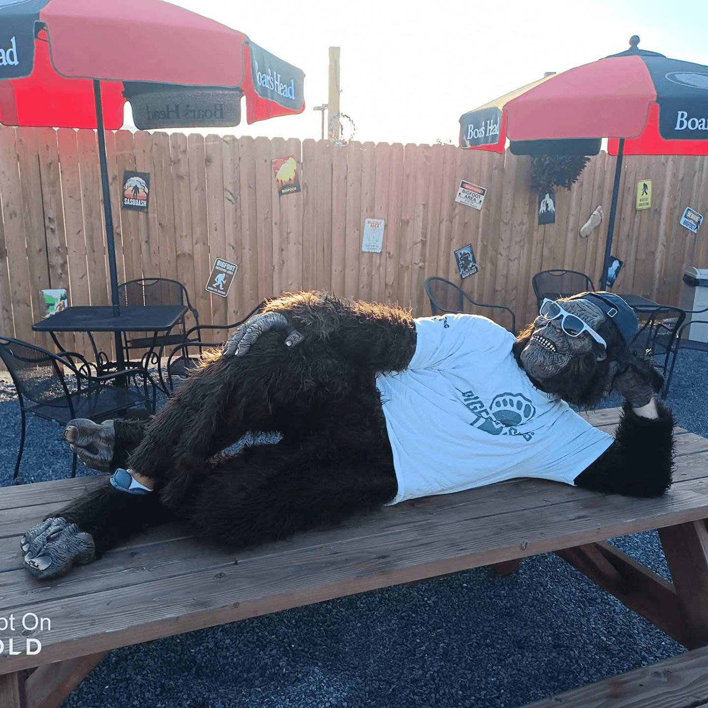 Best Sandwiches in Muncy, PA | Bigfoot Subs | Sandwiches near me
