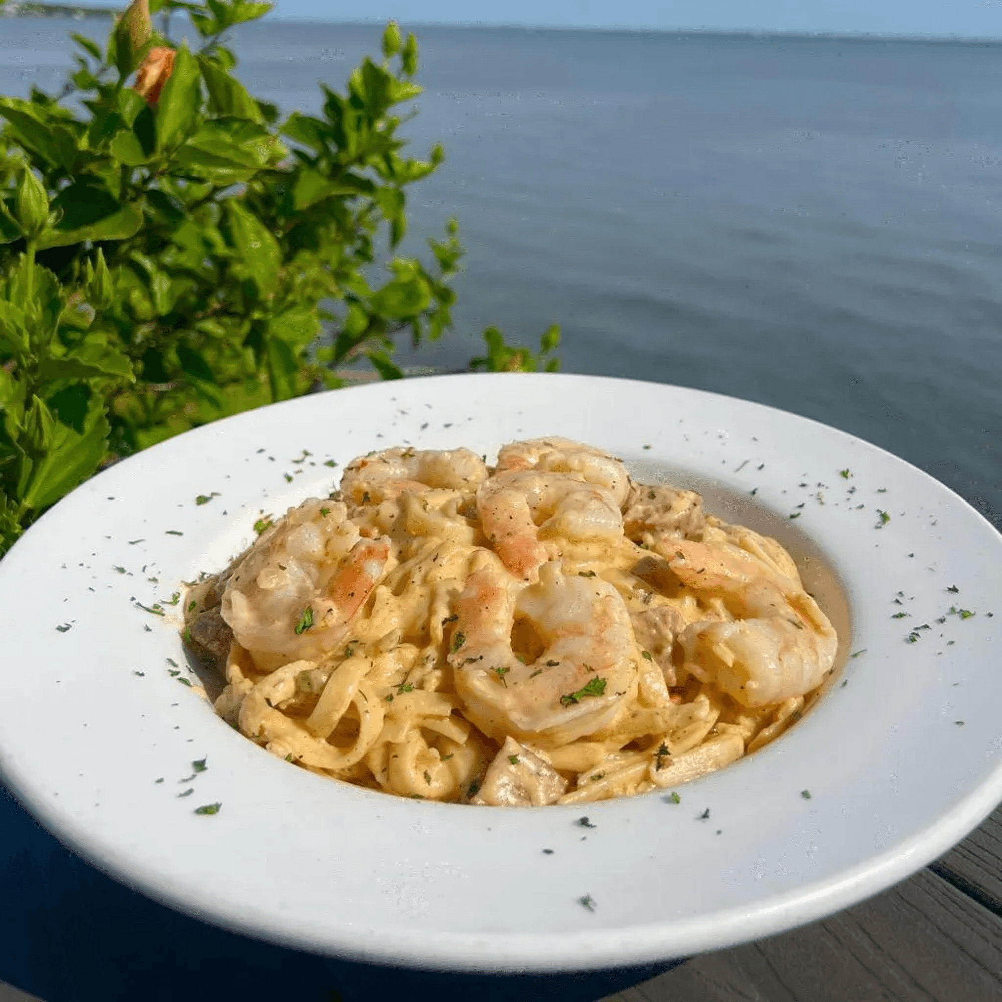 Best Seafood in Palm Bay, FL | The Shack Riverfront Restaurant ...