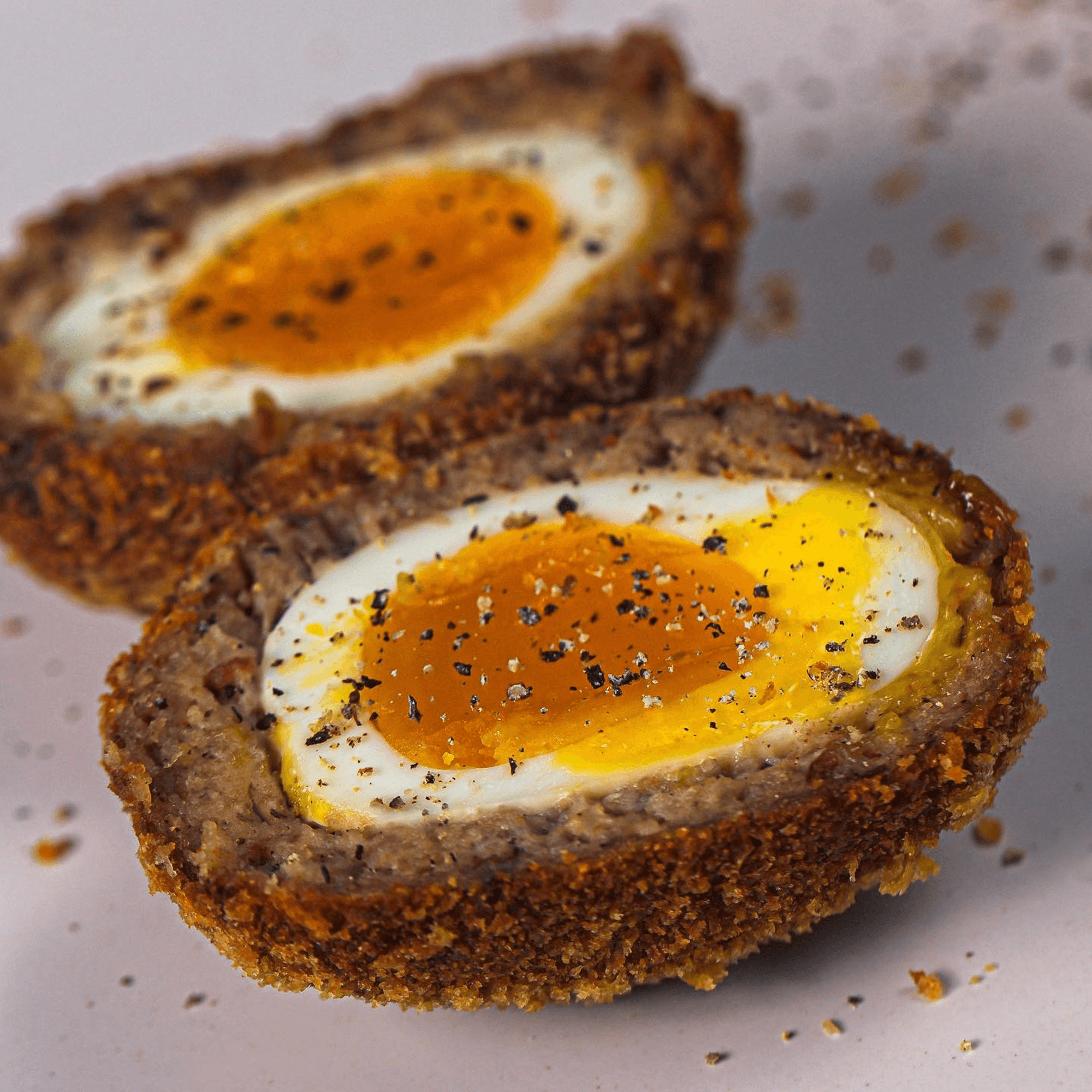 The Shakespeare | Best british food in New York