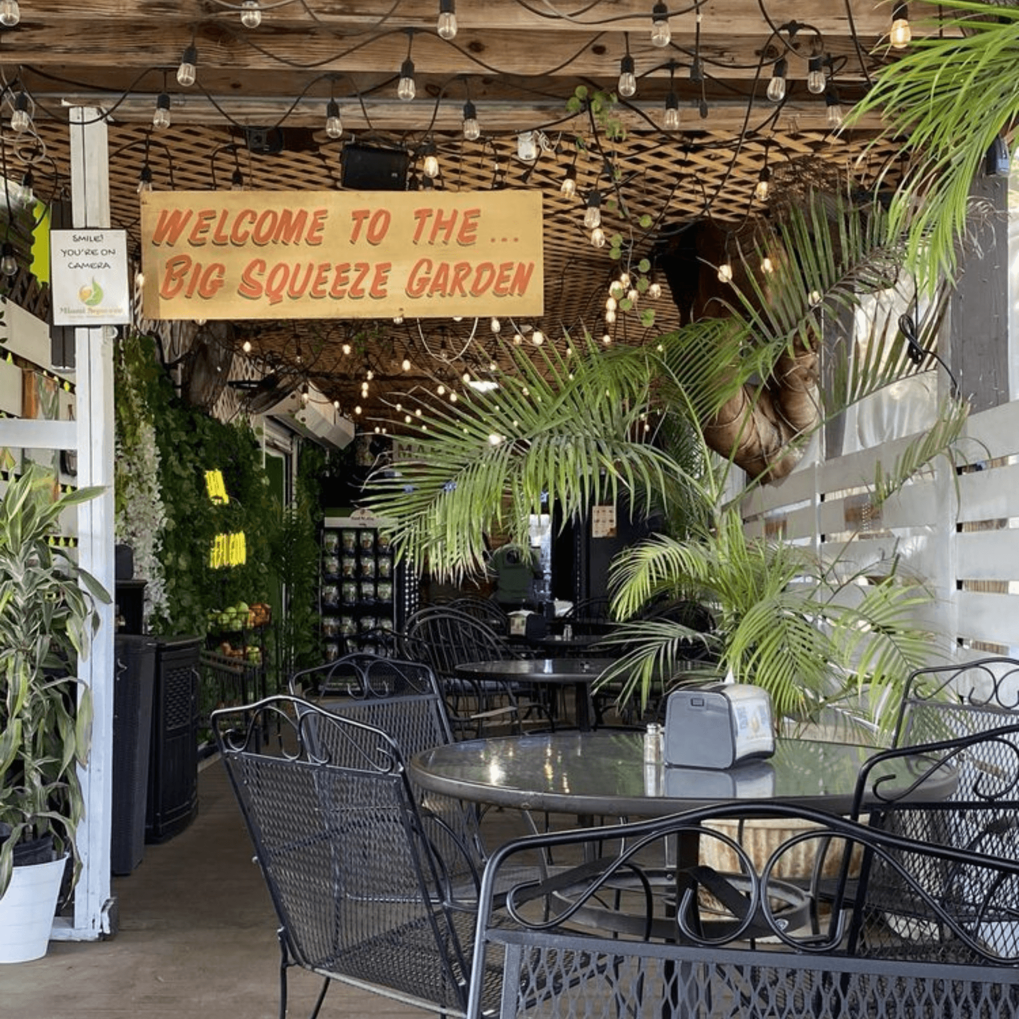 Miami Squeeze | Best restaurant in North Miami Beach, FL