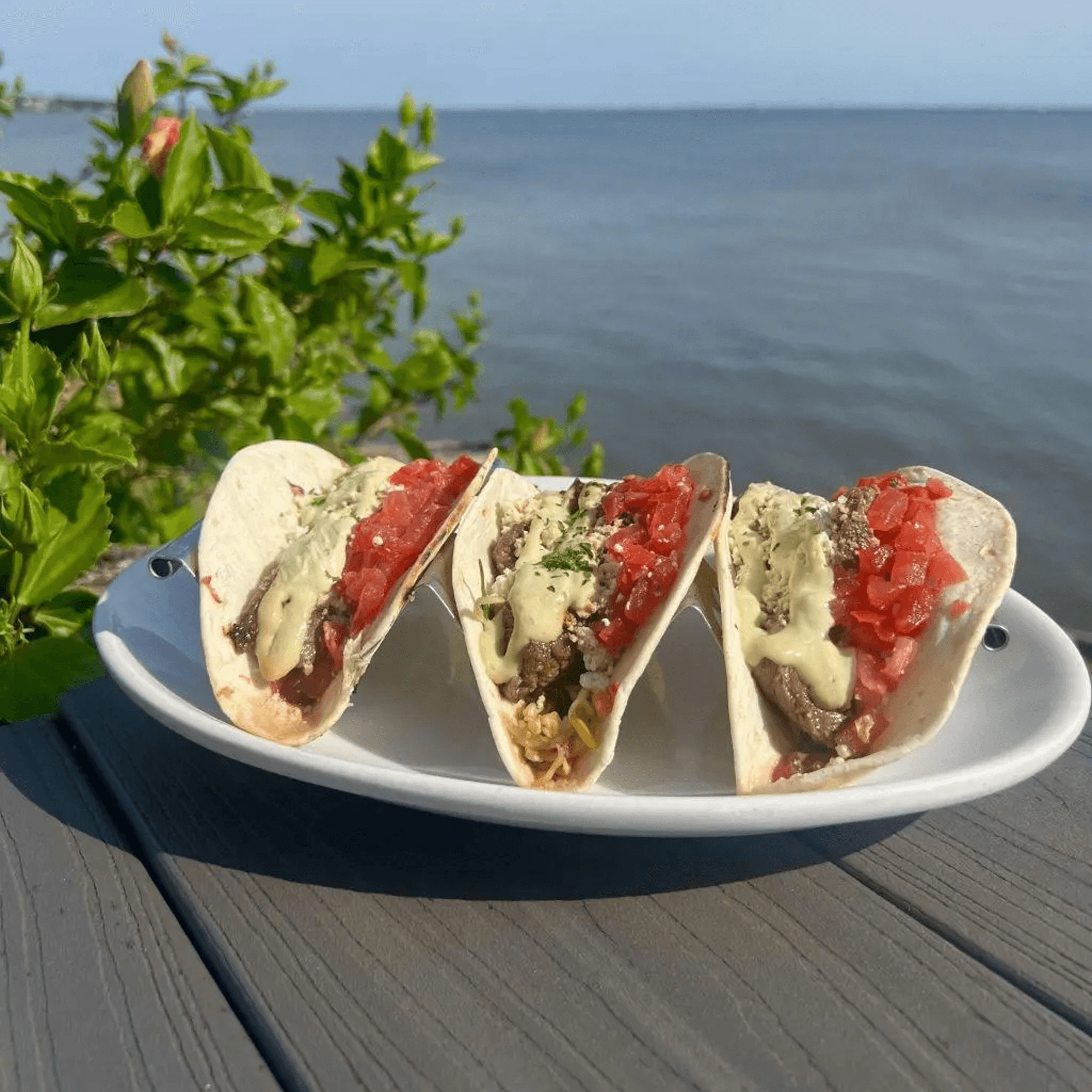 Best Seafood in Palm Bay, FL | The Shack Riverfront Restaurant ...