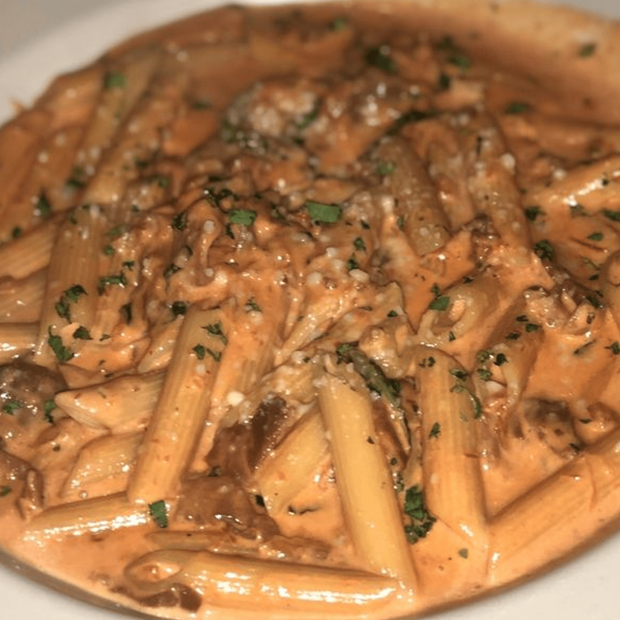 Allegria Italiana | Best Italian Food in Brandon