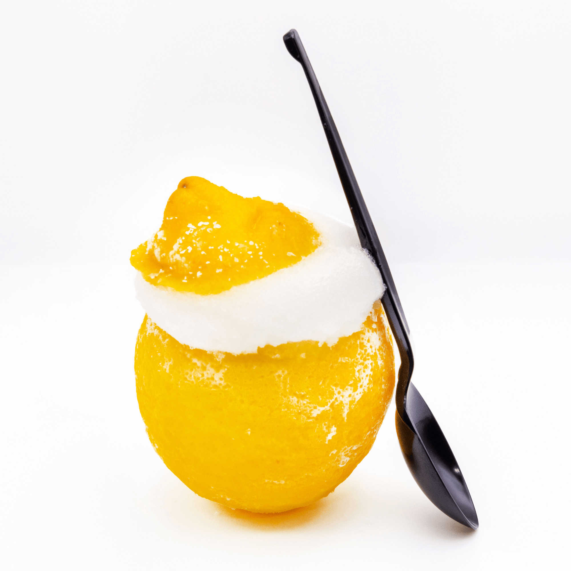 DalMoros Fresh Pasta To Go | Best Italian Food in Florida