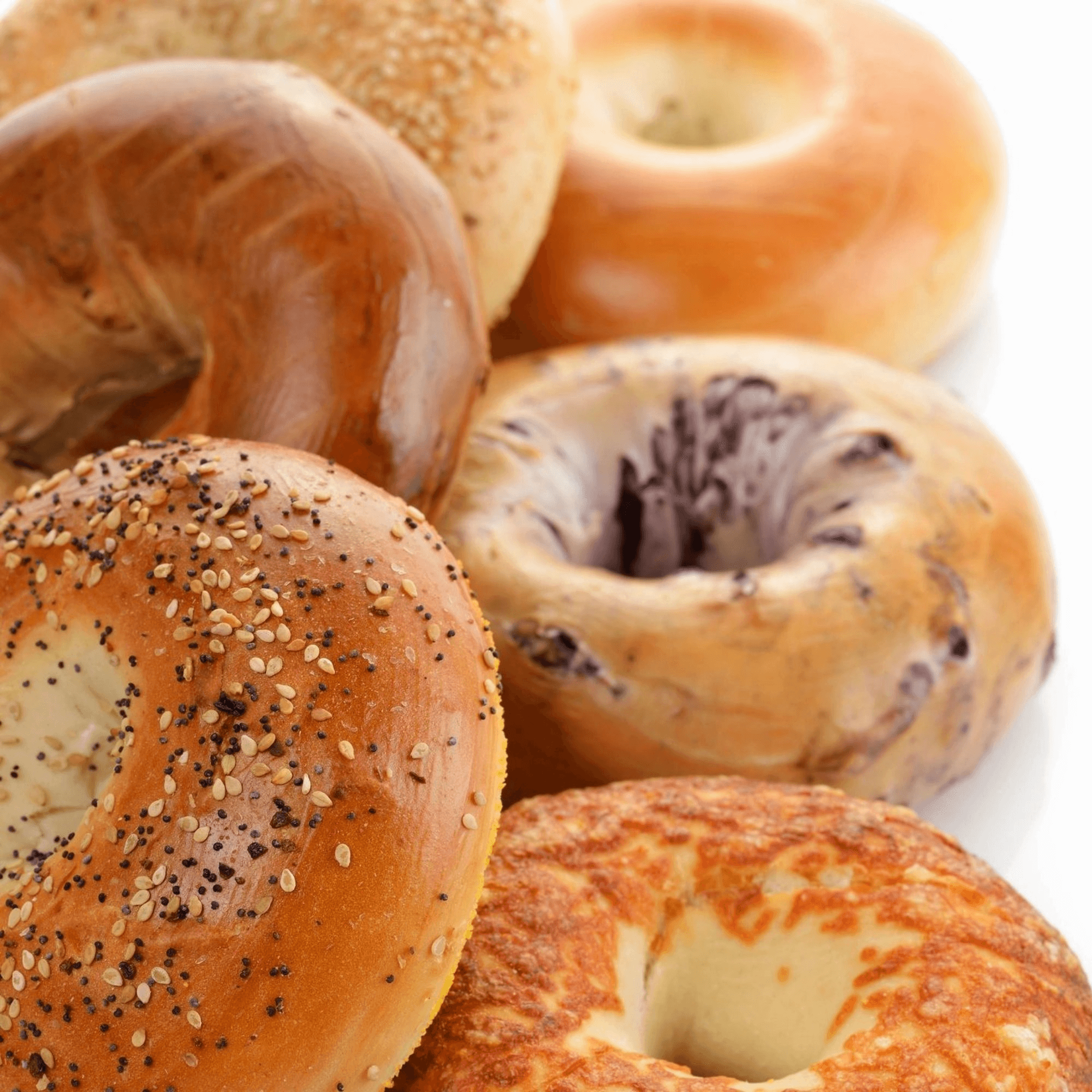 New York Bagel Company | Best Bagels in Baton Rouge, LA | Bagels near me