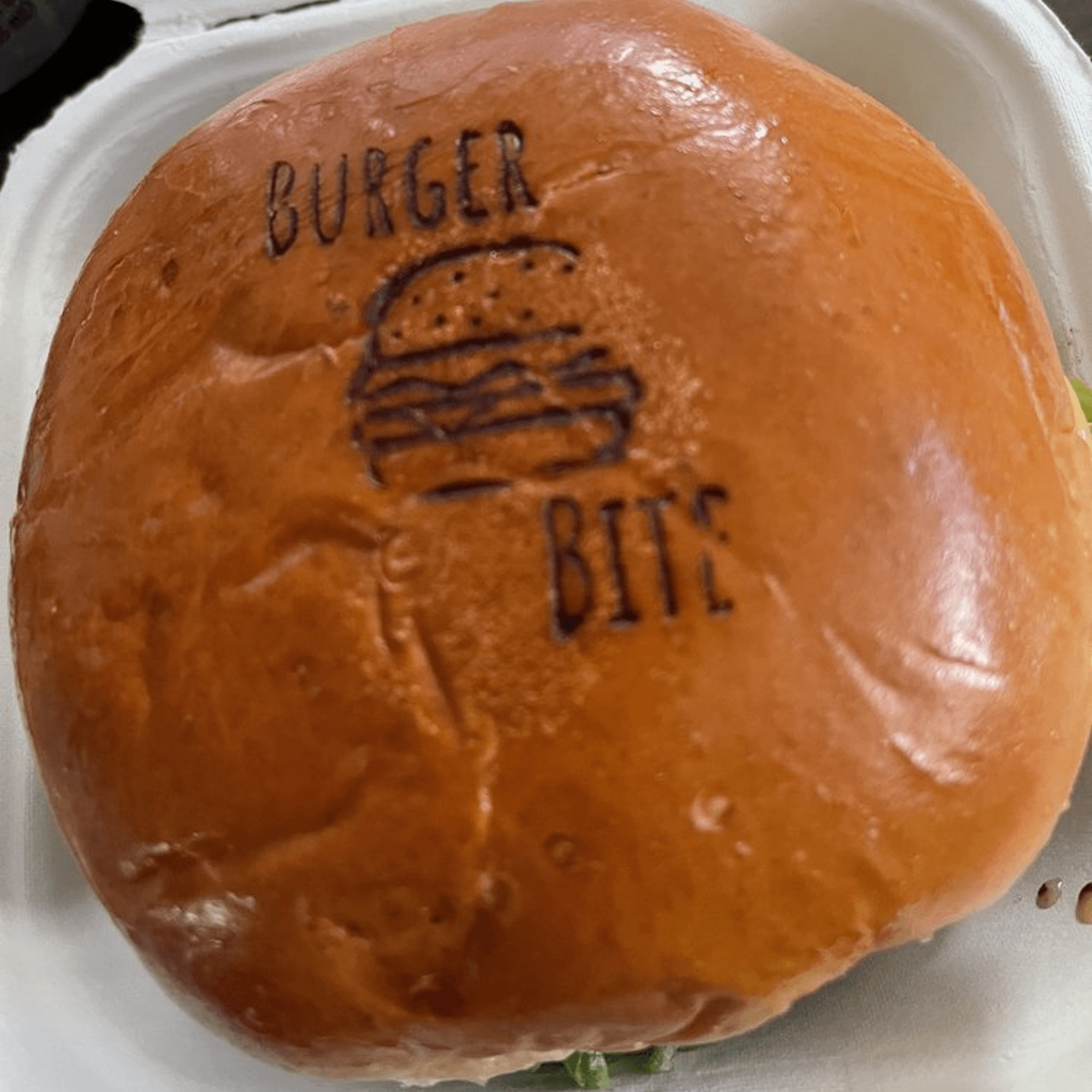 Burger Bite | Best American Food in Chicago