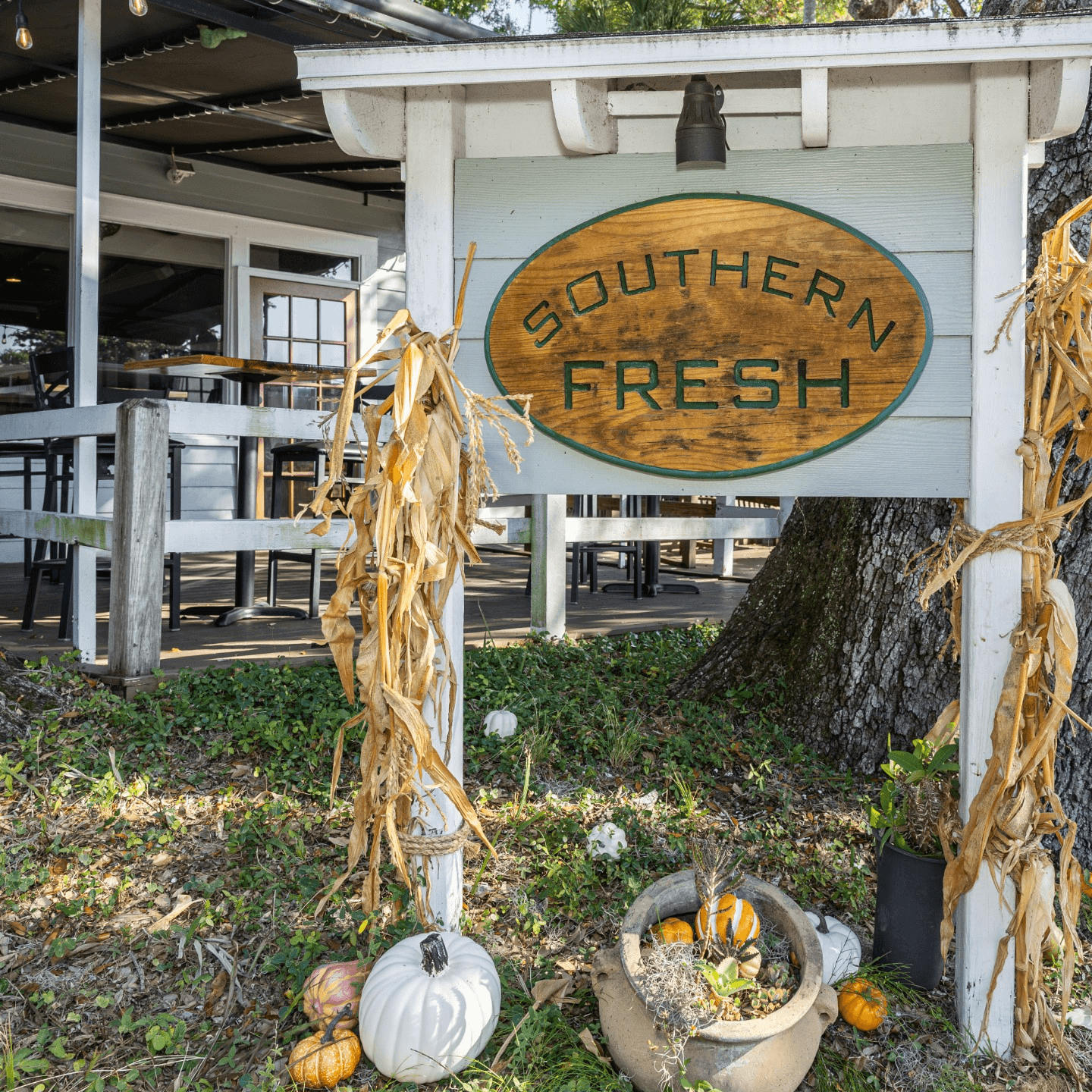 Best Southern food in Safety Harbor, FL | Southern Fresh | Southern ...