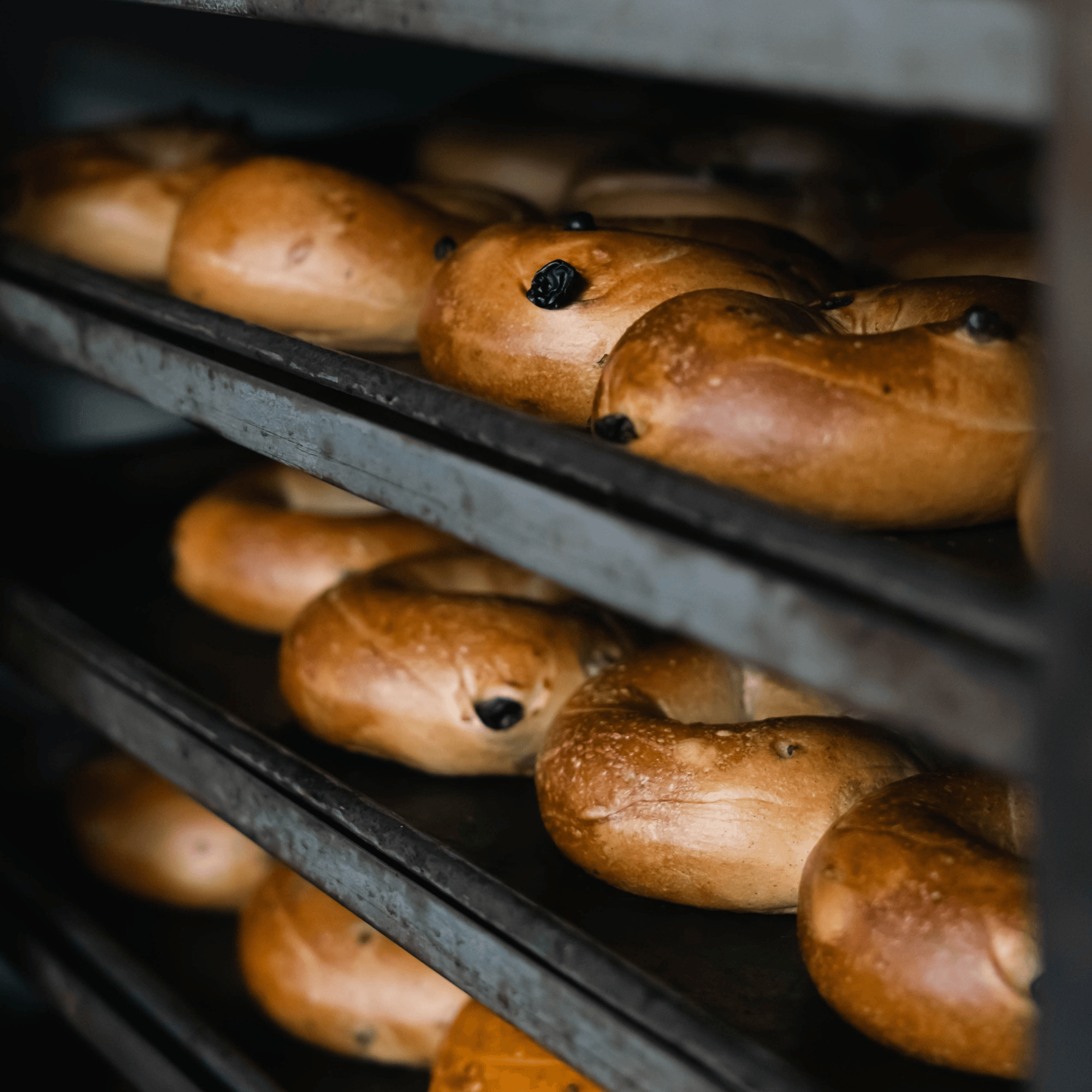 Manhattan Bagels | Best Bagels in New Jersey | Bagels near me