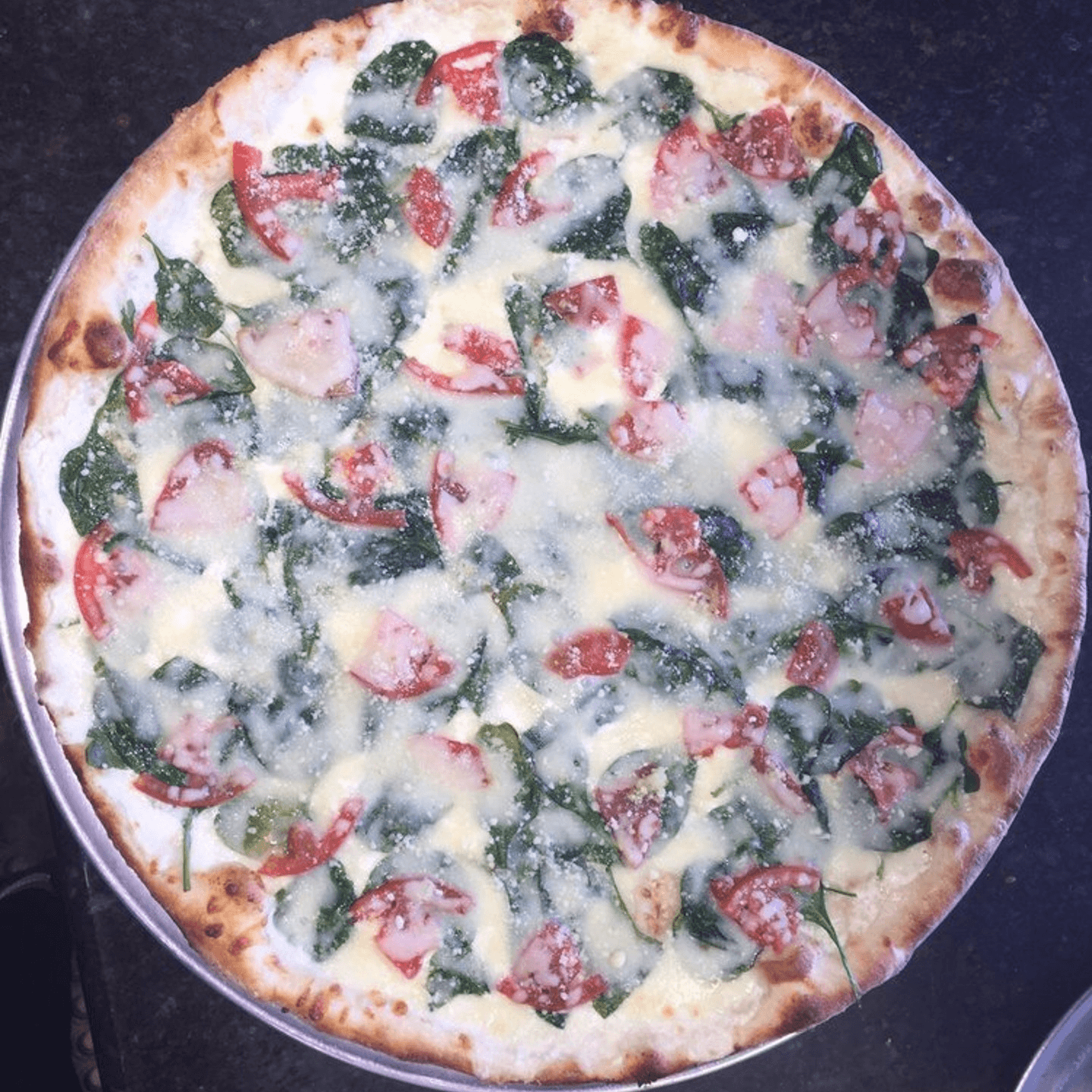 Fresco Pizza | Best Pizzeria in Lutz