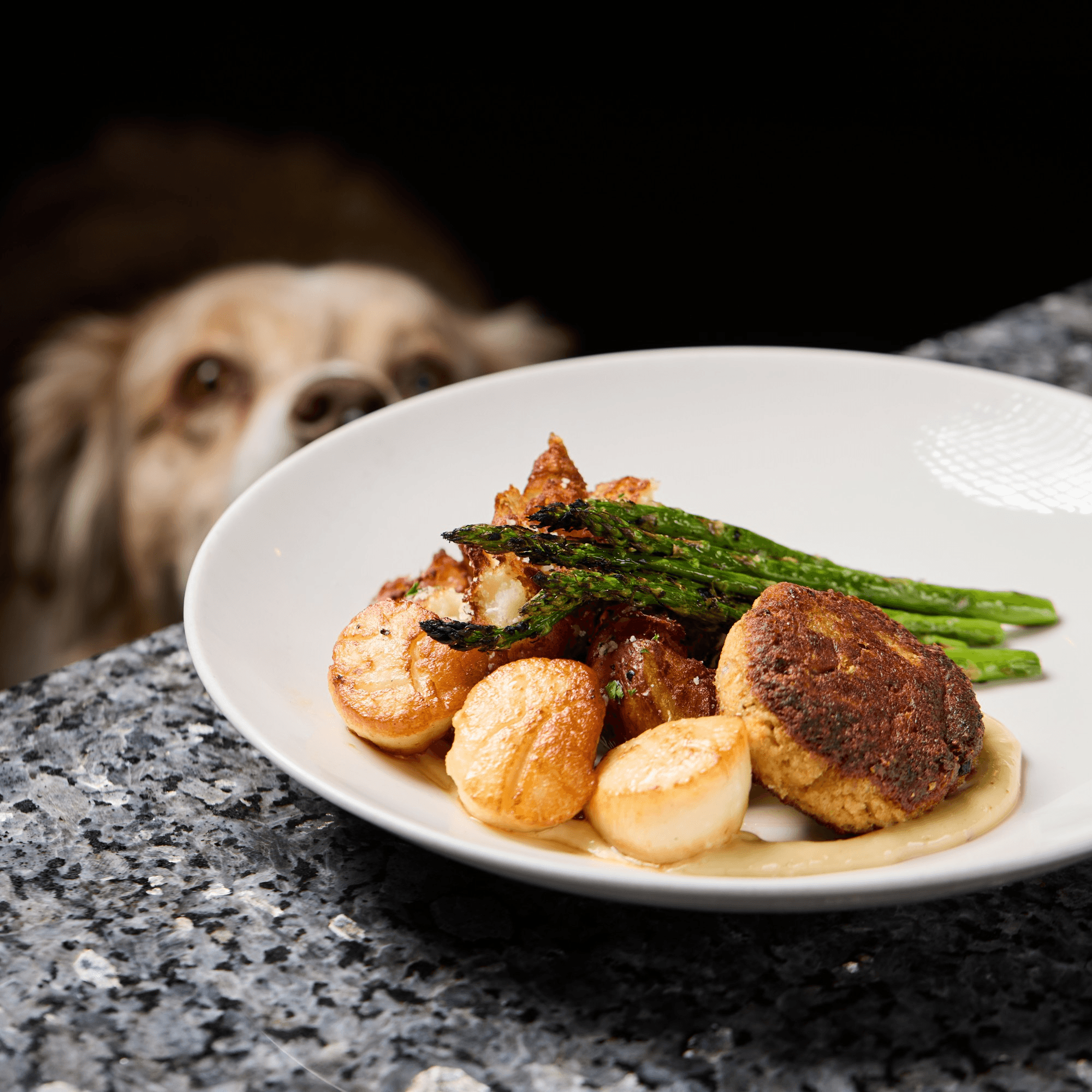 Best Fine dining in Longmont, CO | Martinis Bistro