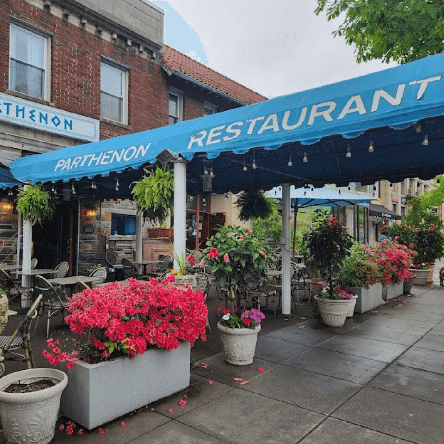 Best Greek food in Washington, DC | Parthenon Greek Restaurant & Chevy ...