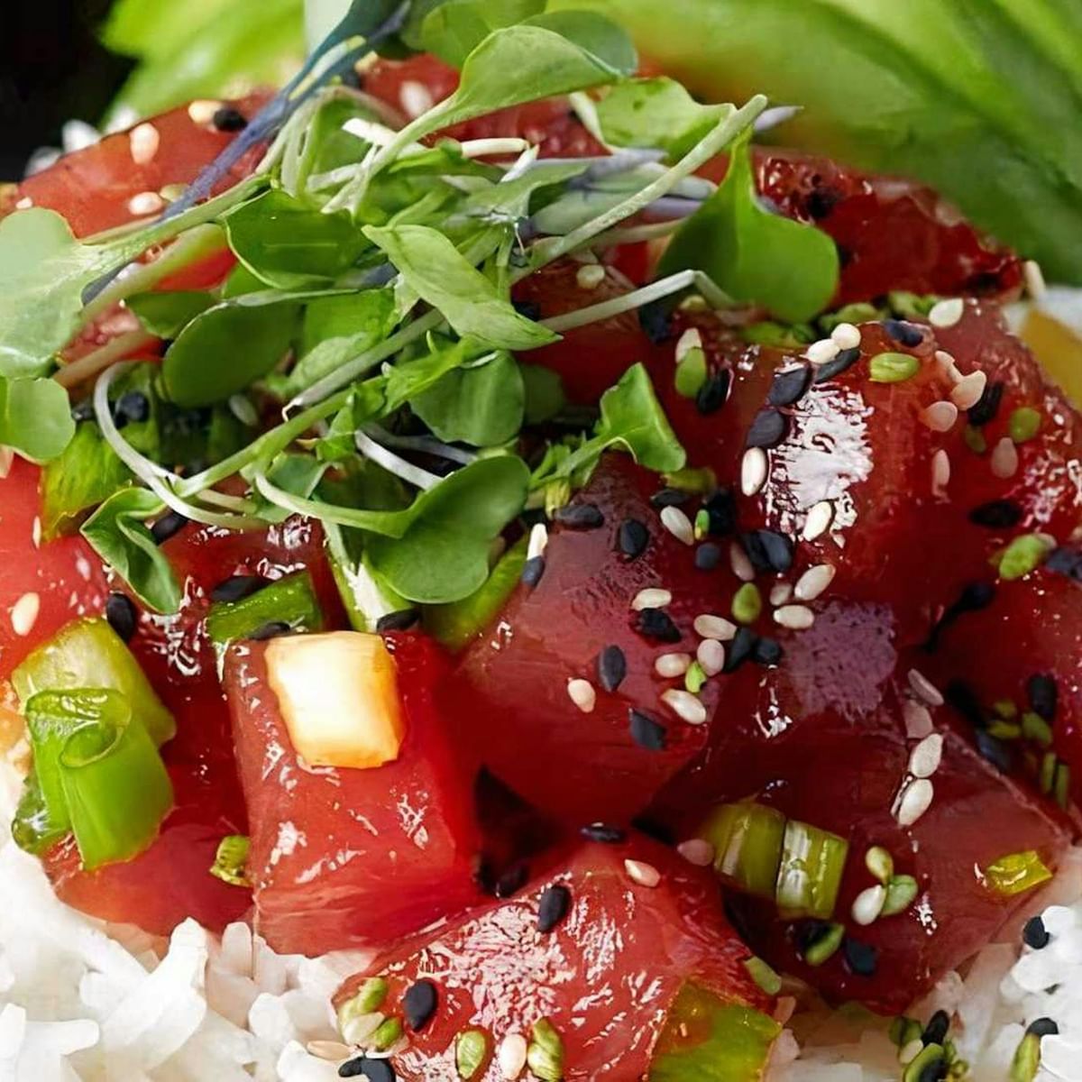 Best Poke in Long Beach, CA | Poke Pub | Poke near me
