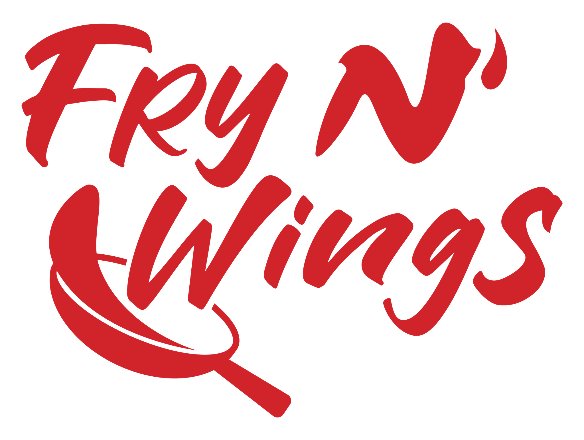 Fry N' Wings | Best asian fusion restaurant in IL