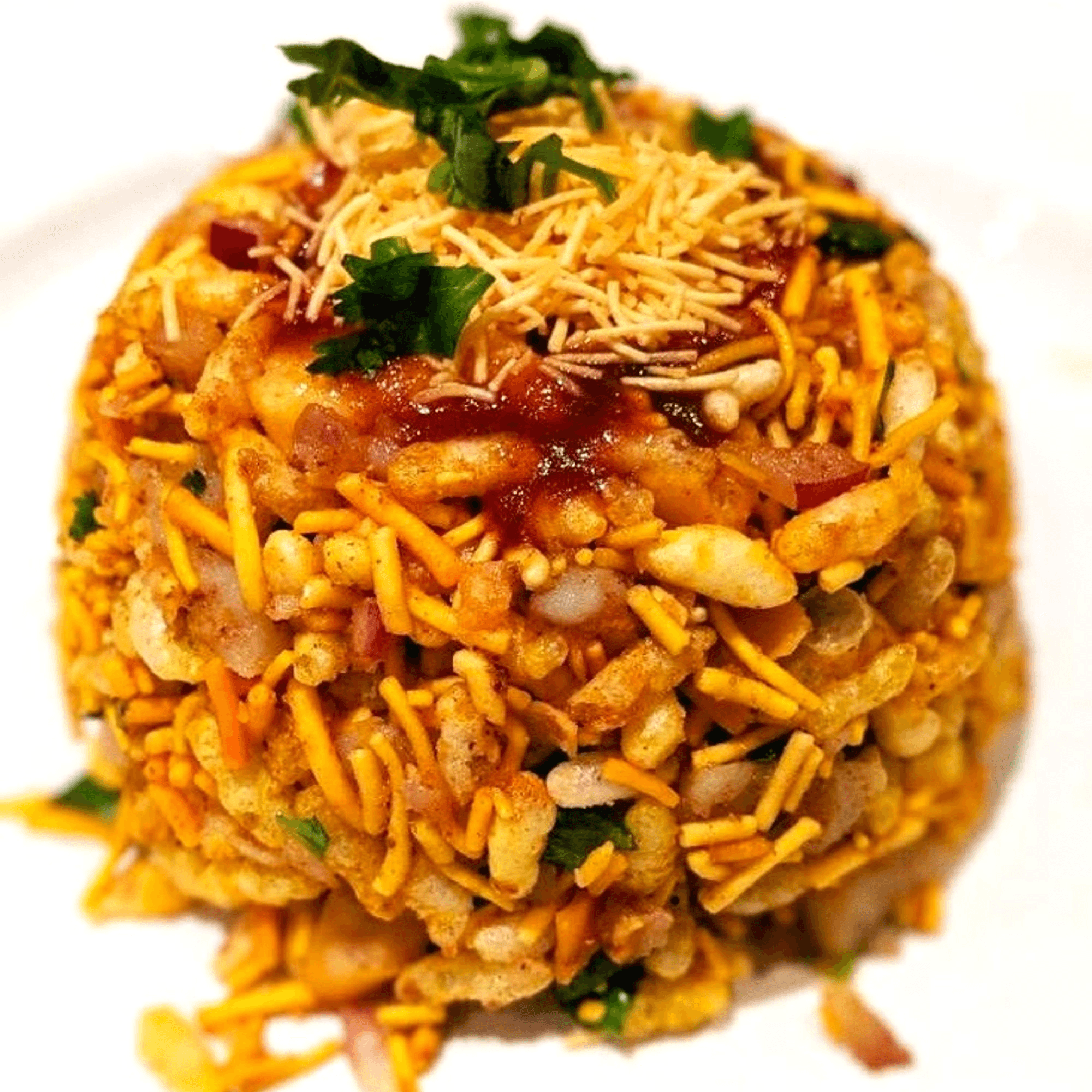 Best Indian food in Kensington, NY | JALSA | Indian food near me