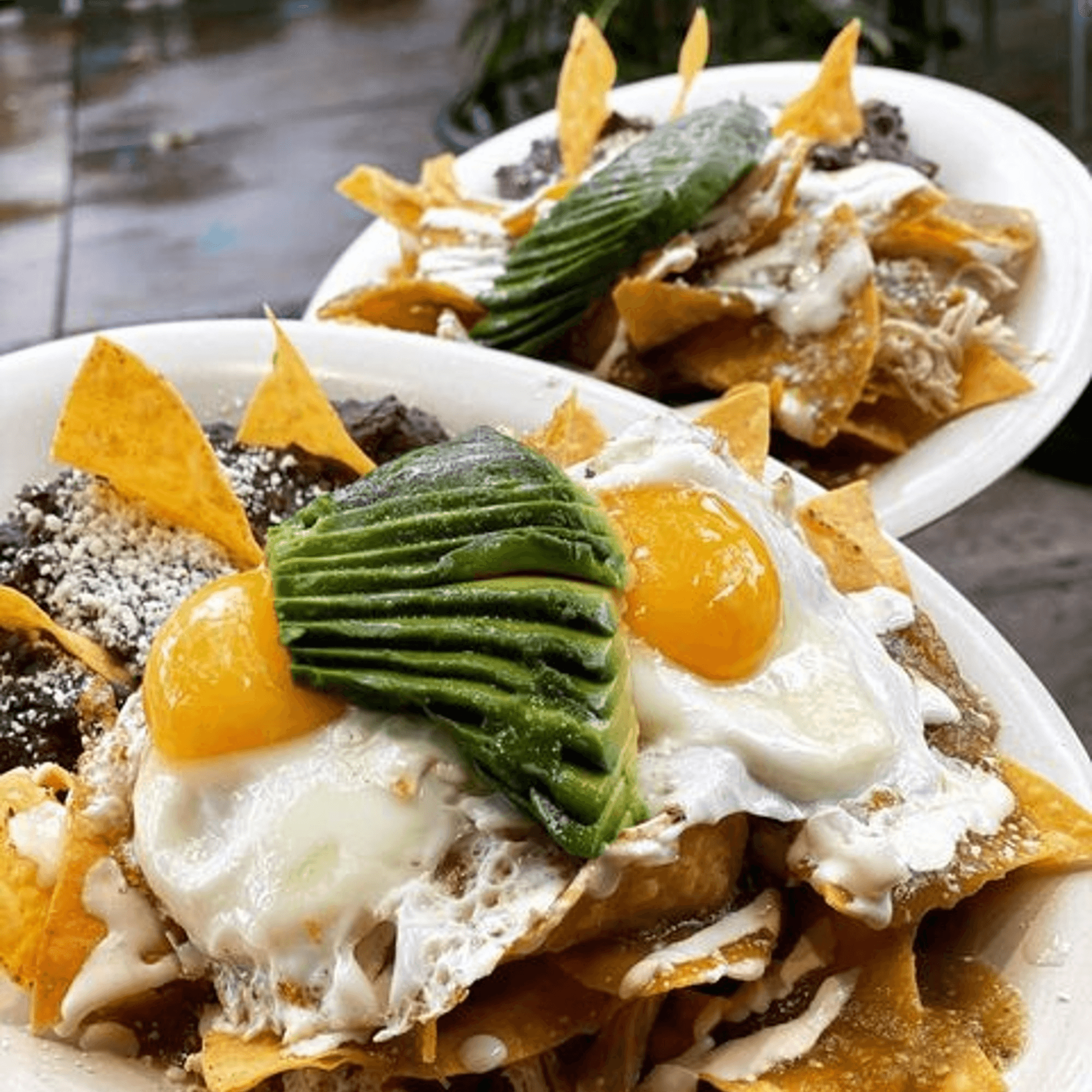 Best Mexican food in Astoria, NY | Chela & Garnacha